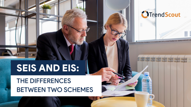 SEIS and EIS: The Differences Between Two Schemes - TrendScout UK